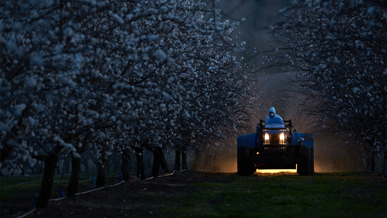 Protecting Bees & Your Team: Best Practices for Nighttime Applications